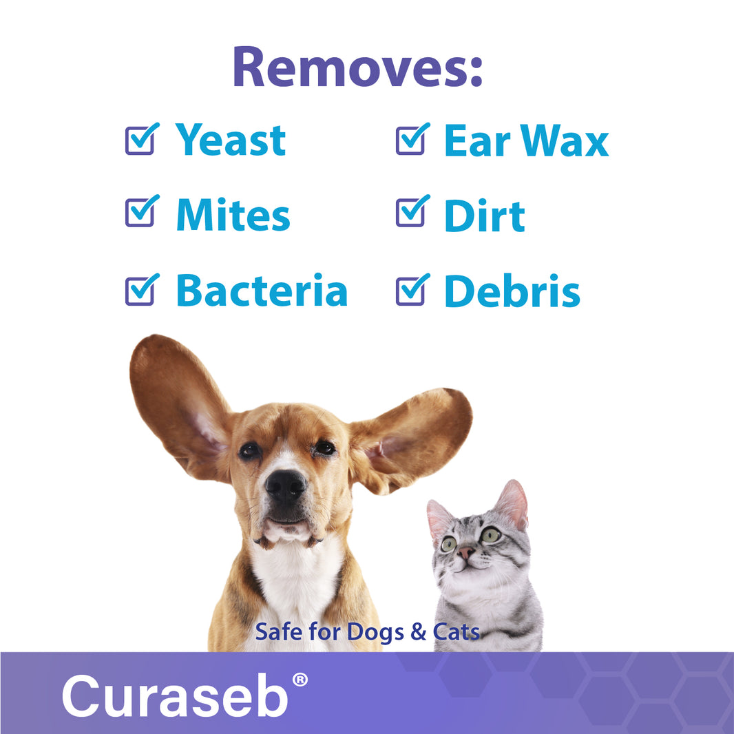 Products – Curaseb