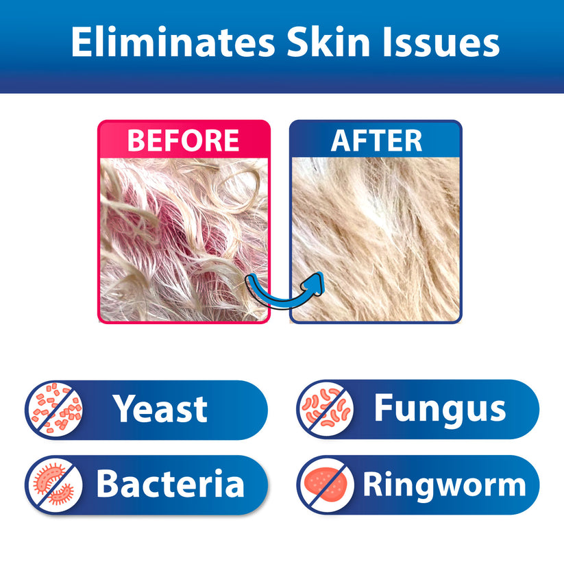 Curaseb Medicated Spray - Chlorhexidine & Ketoconazole for Dogs & Cats